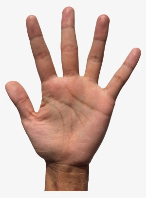 Hand PNG, Transparent Hand PNG Image Free Download - PNGkey