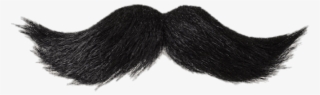 Transparent Background Mustache Png - Free Transparent PNG Download ...