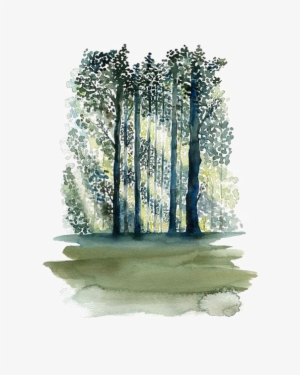 Forest Freetoedit - Tree Line - Free Transparent PNG Download - PNGkey