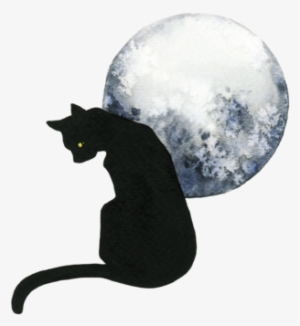 Cat PNG, Transparent Cat PNG Image Free Download - PNGkey