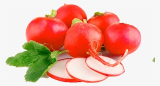 White Radish Png - Mula Vegetables - Free Transparent PNG Download - PNGkey