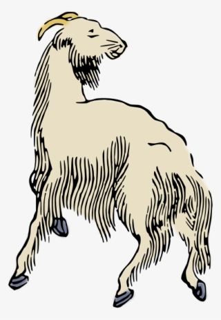 Rammy Goat Vector - Castle Crashers Heads Png - Free Transparent PNG ...