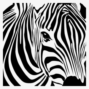 Zebra Print Png Download Image - Positive And Negative Patterns - Free ...