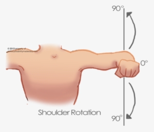 Shoulder Muscle 8 - Rotation Of The Muscle - Free Transparent PNG ...