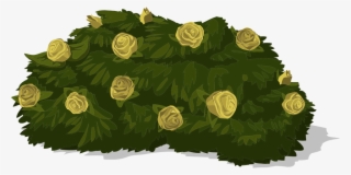 Bush Roses Yellow Green Greenery Shrub Nat - Shrub - Free Transparent ...