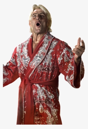 Ric Flair PNG, Transparent Ric Flair PNG Image Free Download - PNGkey