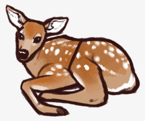 Fawn PNG, Transparent Fawn PNG Image Free Download - PNGkey