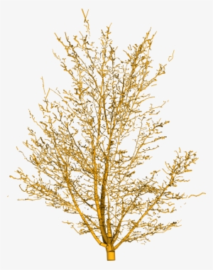 Tree Png Hd Image In Desert - Free Transparent PNG Download - PNGkey