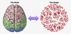 Brain Graph Splash - Mid Brain Activation - Free Transparent PNG ...