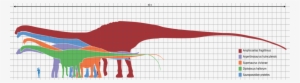 Aquatic Brontosaurus - Diplodocus Vs Brontosaurus Size - Free ...