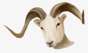 Ram Png Animal - Ram Animal Transparent Background - Free Transparent ...