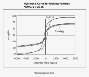 Hysteresis Curve For Representative Biomag® Particles - Diagram - Free ...