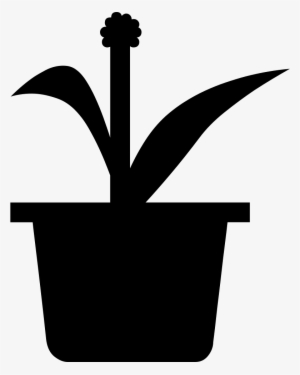 Balcony Comments - Tree - Free Transparent PNG Download - PNGkey