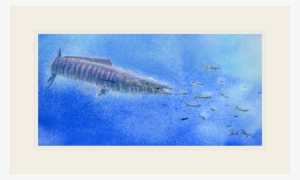 Wahoo Scene - Painting - Free Transparent PNG Download - PNGkey