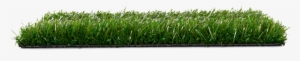 Erba - Artificial Turf - Free Transparent PNG Download - PNGkey