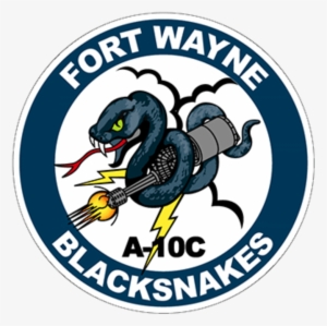 354th Fighter Wing - 354 Fighter Wing Patch - Free Transparent PNG ...