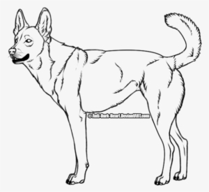 Image Transparent Download Dingo Lineart By Anti - Drawing Of A Dingo ...
