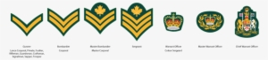 Cadet Ncm Ranks - Free Transparent PNG Download - PNGkey