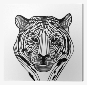 Puma Head - Free Transparent PNG Download - PNGkey