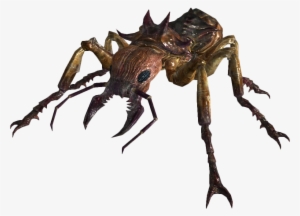 Giant Cockroach - Fallout Radroach - Free Transparent PNG Download - PNGkey