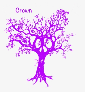 Crown Chakras - Graphic Design - Free Transparent PNG Download - PNGkey