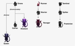 Evolution - Xenomorph Evolution - Free Transparent PNG Download - PNGkey