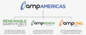 Amp Company Tree - Amp Americas - Free Transparent PNG Download - PNGkey