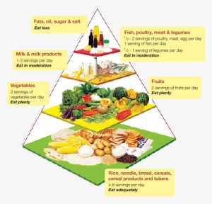 Your Nutrition Guide - Food Pyramid Malaysia 2018 - Free Transparent ...