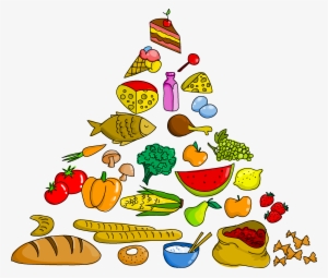 Food Pyramid PNG, Transparent Food Pyramid PNG Image Free Download - PNGkey