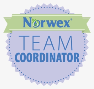 Norwex Composite Logo Wtag White - Norwex Fall - Free Transparent PNG ...