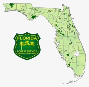 National Forest Map Florida - Free Transparent PNG Download - PNGkey