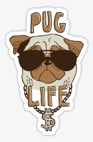 Thug Life Pug Png Image - Pug Png - Free Transparent PNG Download - PNGkey
