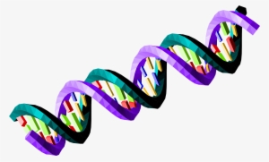 Vector Library Stock Double Stranded Sequence Big Image - Ds Dna Strand ...
