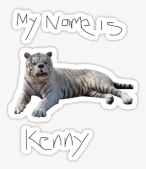 Kenny The Down Syndrome Tiger Png - Free Transparent PNG Download - PNGkey