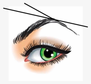 Threading - Eyebrow Threading Png - Free Transparent PNG Download - PNGkey