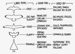 Realistic Bird Wings Png Free Stock Image - Pelican On The Water In ...