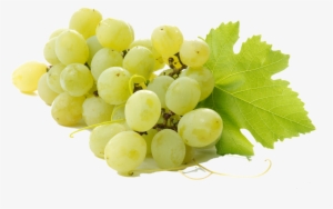 Belo Grozdje - Free Transparent PNG Download - PNGkey