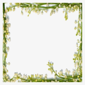 May Flower Frame Lily Of The Valley Frame - Flower Border - Free ...