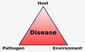 Illustration Of The Disease Triangle - Abramson Center For Jewish Life ...