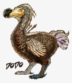 Ark Survival Evolved - Dodo Png - Free Transparent PNG Download - PNGkey