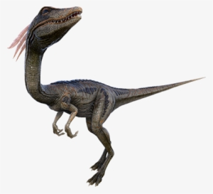 Compy Dinosaur - Free Transparent PNG Download - PNGkey