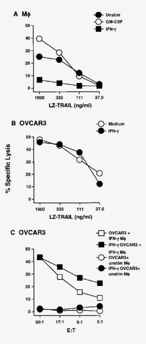 Fn Stimulation Renders M Resistant To Trail Induced - Diagram - Free ...