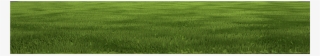 Grass Texture Perspective Png - Free Transparent PNG Download - PNGkey