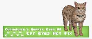 Sims 4 Cc Eyes For Cats - Free Transparent PNG Download - PNGkey