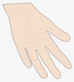 Hand - Skin Clipart - Free Transparent PNG Download - PNGkey