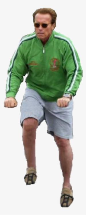 Arnold Schwarzenegger Png Pic - Portable Network Graphics - Free ...