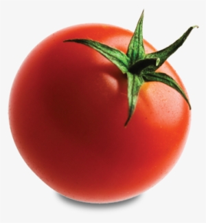 Tomatoes - Kamatis Clipart - Free Transparent PNG Download - PNGkey