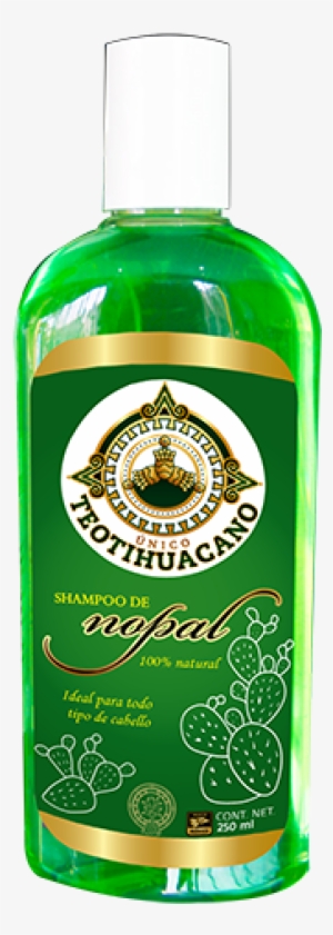 Shampoo De Nopal 100% Natural Evita La Caida Del Cabello - Shampoo ...