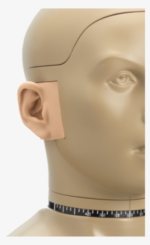 Image - Kemar Mannequin - Free Transparent PNG Download - PNGkey