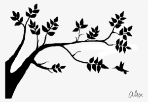 Tree Shadow PNG, Transparent Tree Shadow PNG Image Free Download - PNGkey